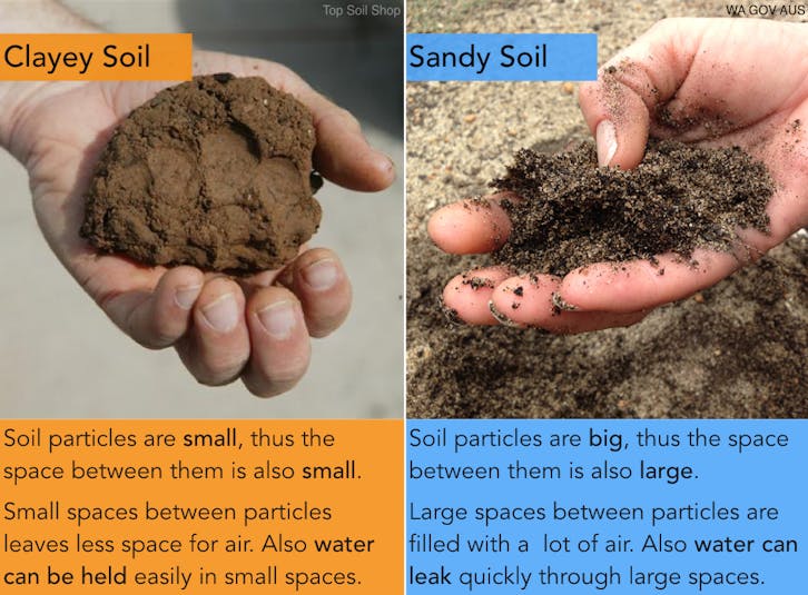 Types Of Soils Sandy, Clayey, Loamy Silt, 53% OFF